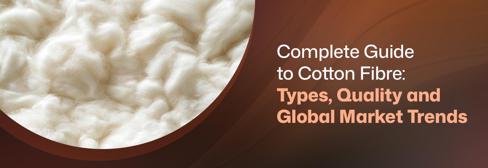 Complete Guide to Cotton Fibre: Types, Quality and Global Market Trends ...