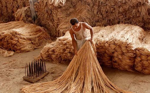 Mesta Jute Fiber ,Bleached Modified Jute, Fibre2fashion.com - Fibre2Fashion