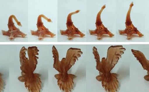 Latest shape Industry Articles - Fibre2Fashion - 1.