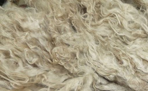 Latest amount Industry Articles - Fibre2Fashion - 1.