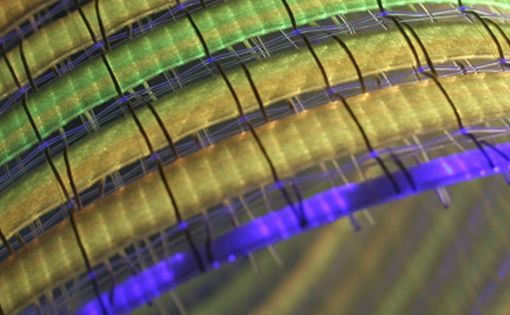 Latest state Industry Articles - Fibre2Fashion - 1.