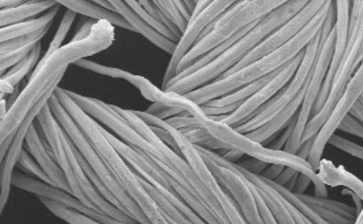 Latest Self Industry Articles - Fibre2Fashion - 1.