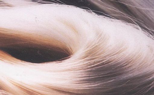 Production of Silk Fiber - Silk Fibre Application - Fibre2Fashion