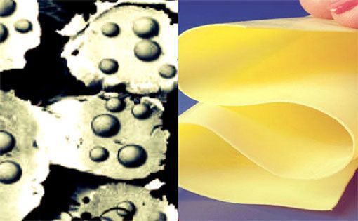 Latest phase Industry Articles - Fibre2Fashion - 1.