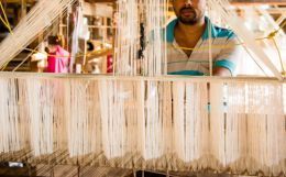 Latest Assam Industry Articles - Fibre2Fashion - 1.