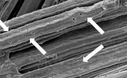 B. Sujai | Textile Industry - Fibre2Fashion