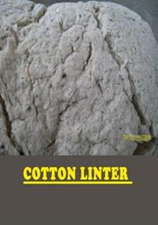 Cotton Linter : Greige, 10 mm, -, For pulp, cellulose, yarn Suppliers ...