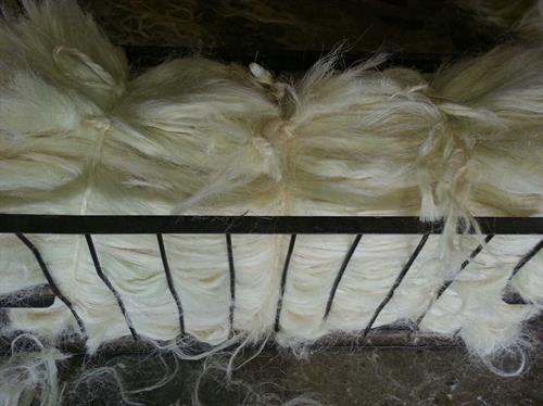 Kenyan Sisal Fibre Suppliers 17134146 - Wholesale Manufacturers and ...