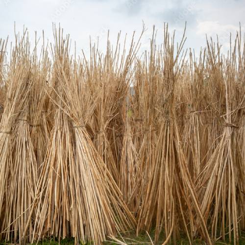 Carded Jute Fibre Buyers - Wholesale Manufacturers, Importers ...