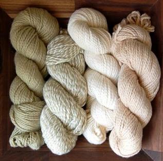 Carded Yarn : Greige, For weaving, 100% Cotton Suppliers 1367330 ...