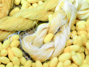 Raw Silk Hank Yarn Buyers - Wholesale Manufacturers, Importers ...
