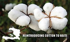 Read all Latest Textiles Industrial News in haiti- Fibre2Fashion