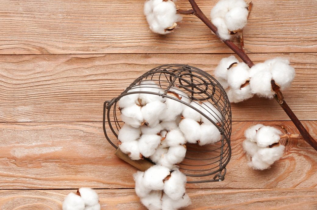ICE cotton edges higher on stable demand, lower production outlook ...