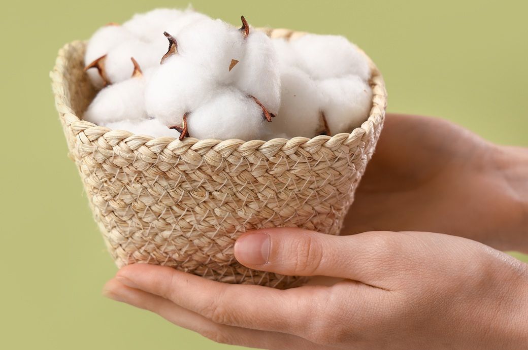 ICE cotton eases on stronger US dollar, improved rainfall outlook ...
