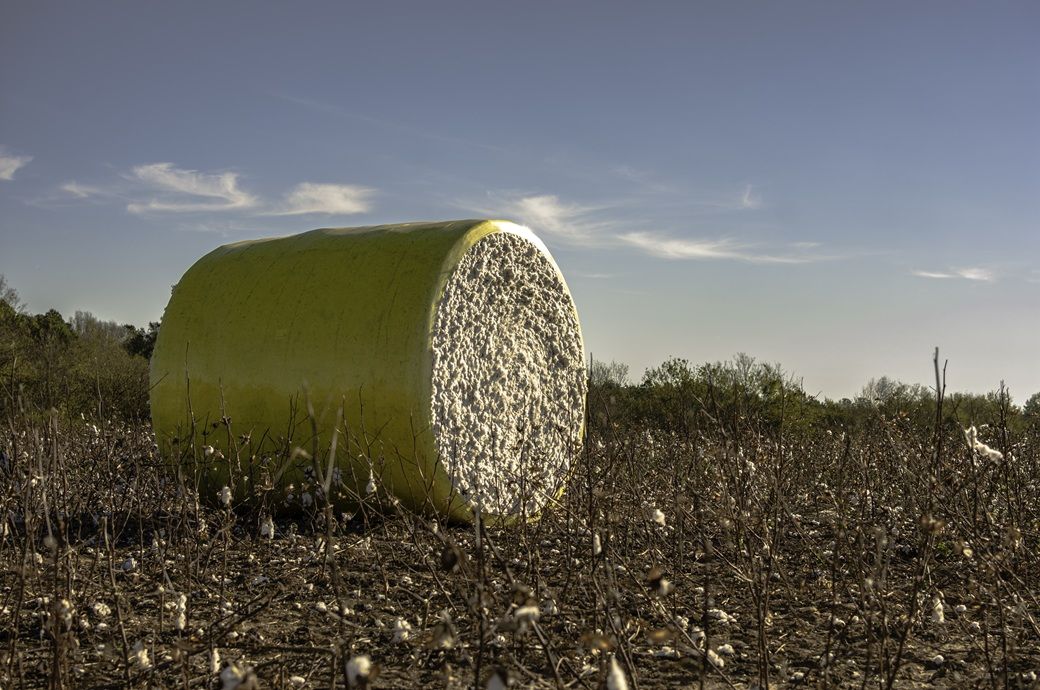 ICE cotton drops sharply as overbought market triggers sell-off ...