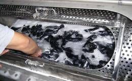 Bio-and Nanotechnology in the Processing of Silk | Degumming Process ...