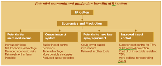 Power of Bt Cotton - Fibre2Fashion