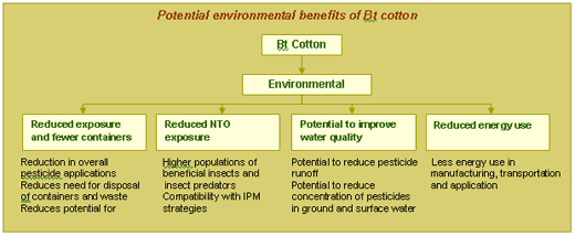 Power of Bt Cotton - Fibre2Fashion