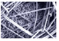 PCM in Textiles - Fibre2Fashion