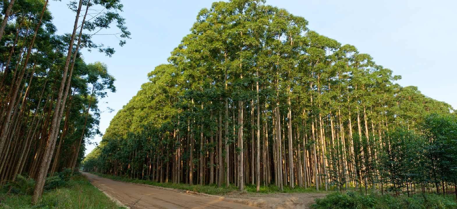 Traceability in Textile Supply Chains: How Verve Leads the Way in ...