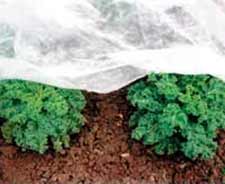 Agro Textiles – A Rising Wave - Fibre2Fashion