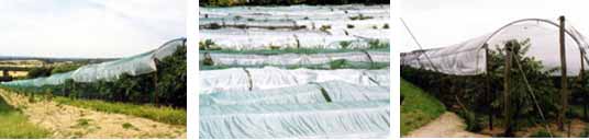 Agro Textiles – A Rising Wave - Fibre2Fashion