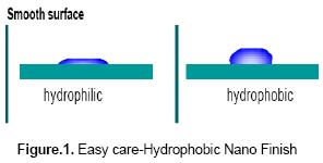 Functional Nano Finishes For Textiles - Ahli Desain Tekstil