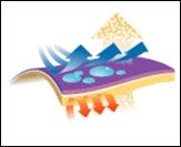 Special Finishes To Garment – An Overview - Fibre2Fashion