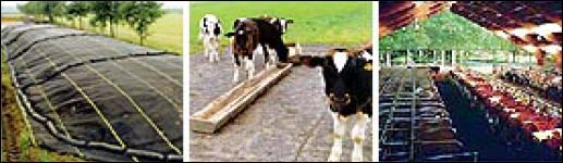 AGROTEXTILES – An Overview - Fibre2Fashion