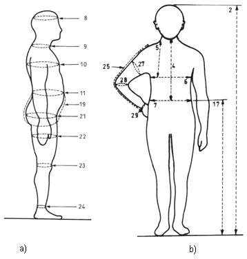 Indian body dimensions - Free Apparel Industry Articles - Fibre2fashion ...