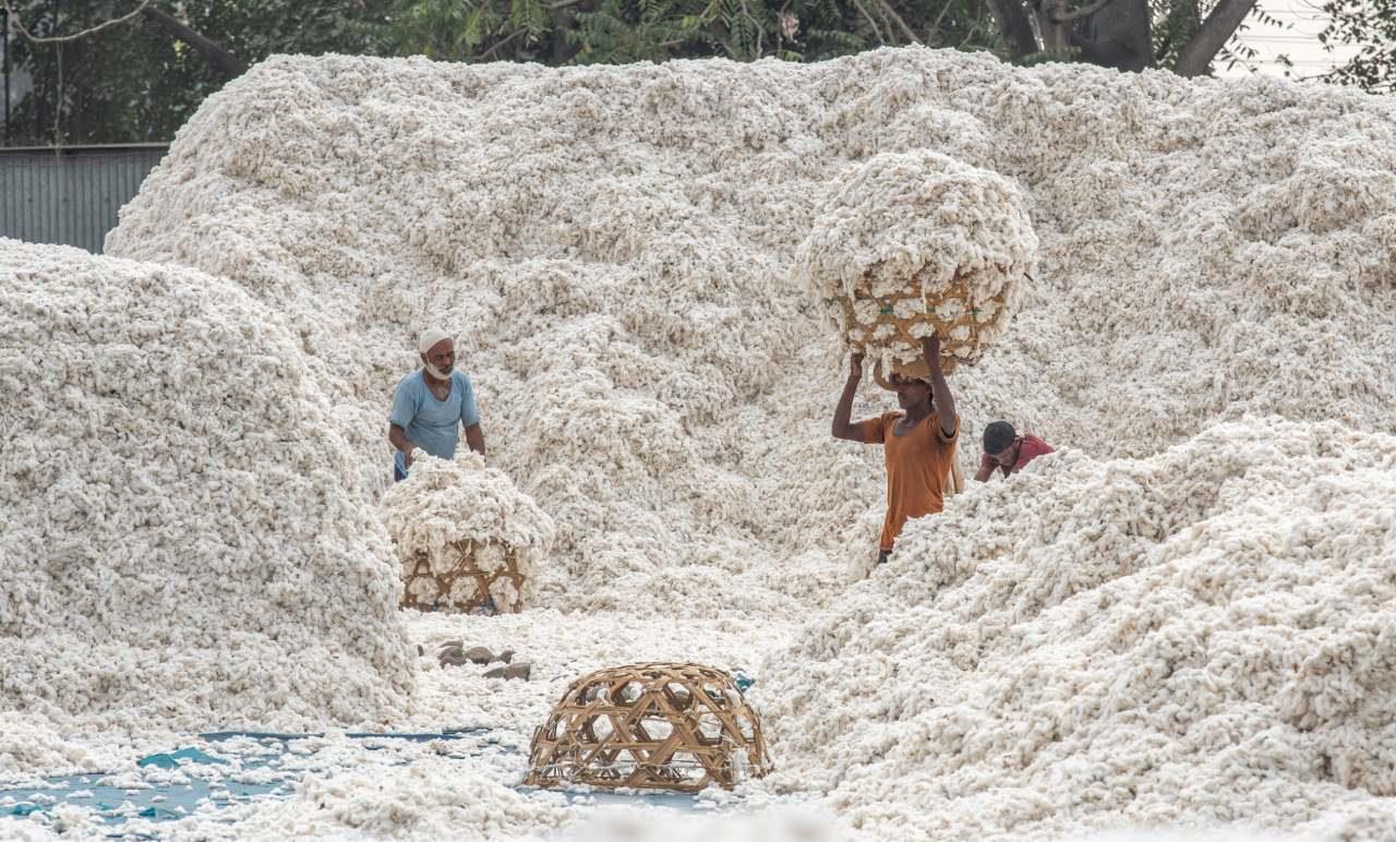Organic cotton processing, Organic Cotton Production, Volatile Organic ...