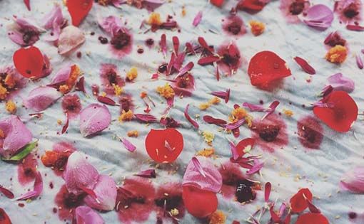 Herbal Textile-An ancient tradition & its market potential - Fibre2Fashion