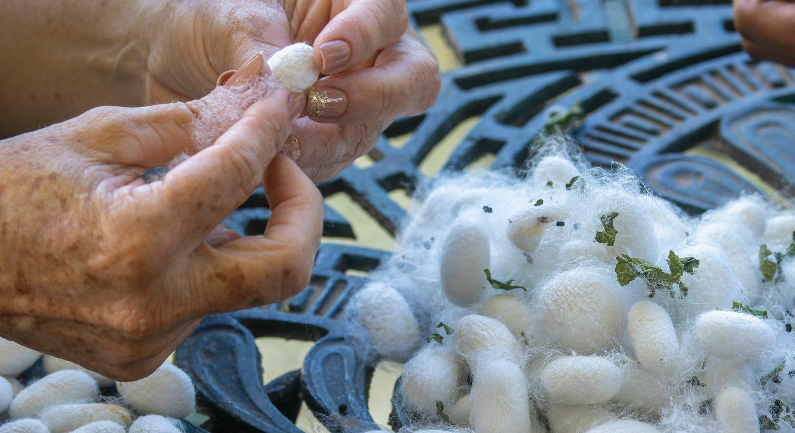 Silk Cyclodextrin Treatment, Degumming Proces, CD Treatment Process ...