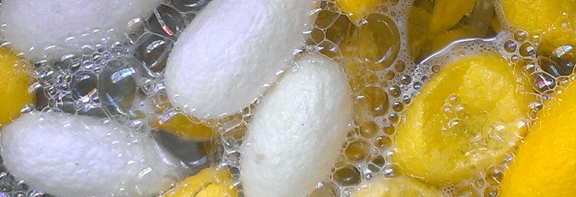 Silk Cyclodextrin Treatment, Degumming Proces, CD Treatment Process ...