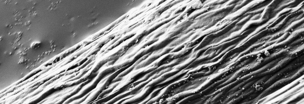 Regenerated Cellulosic Fibres,Regenerated Cellulose Fibres,Regenerated ...