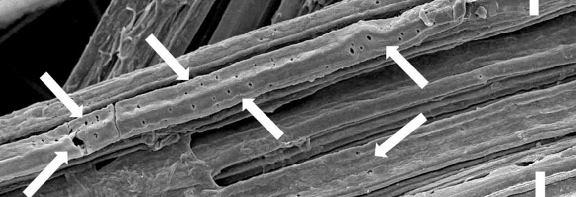 Inter-Fiber Frictional Model,Analysis of Inter-Fiber Friction,Effect of ...