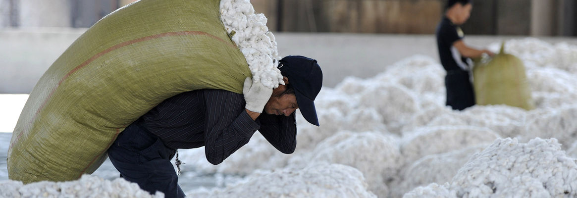 Cotton Production India,Cotton Production In India 2010,Cotton Export ...