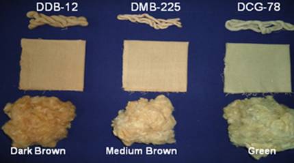 Naturally Colored Cotton , Naturally Colored Cotton Synthesis ...