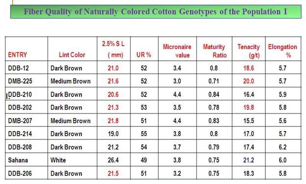Naturally Colored Cotton , Naturally Colored Cotton Synthesis ...