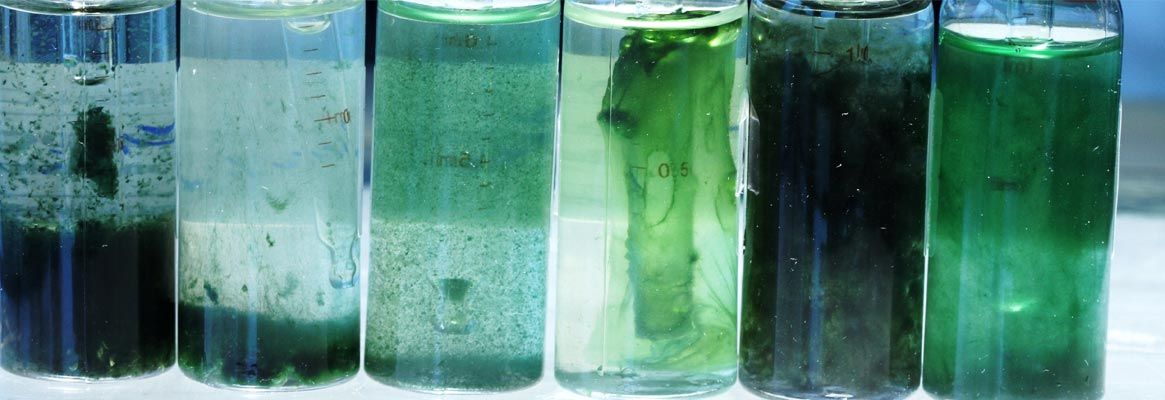 Bioscouring Technique, Bioscouring Technique in Textiles - Fibre2Fashion