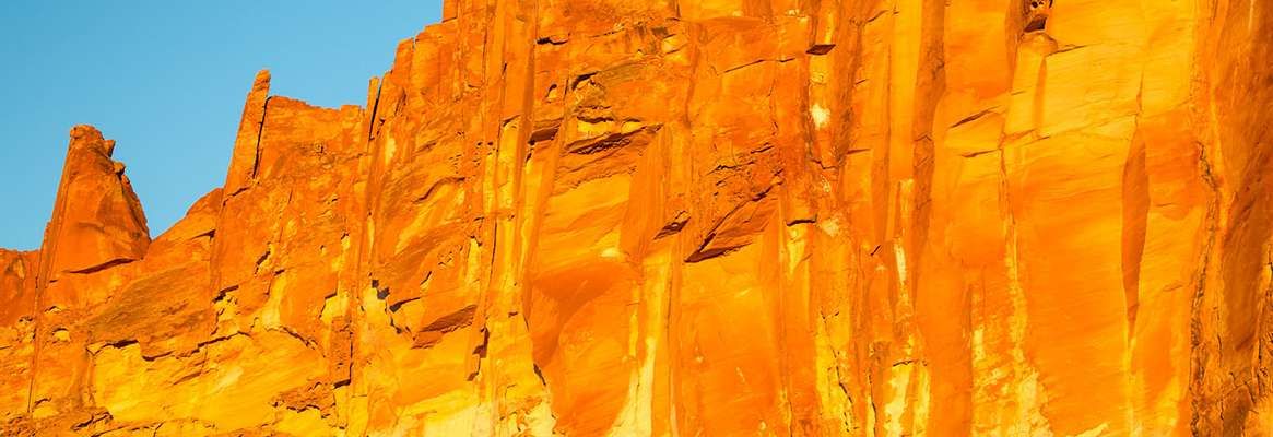 Natural Yellow Color: Yellow Color in Textile - Fibre2Fashion