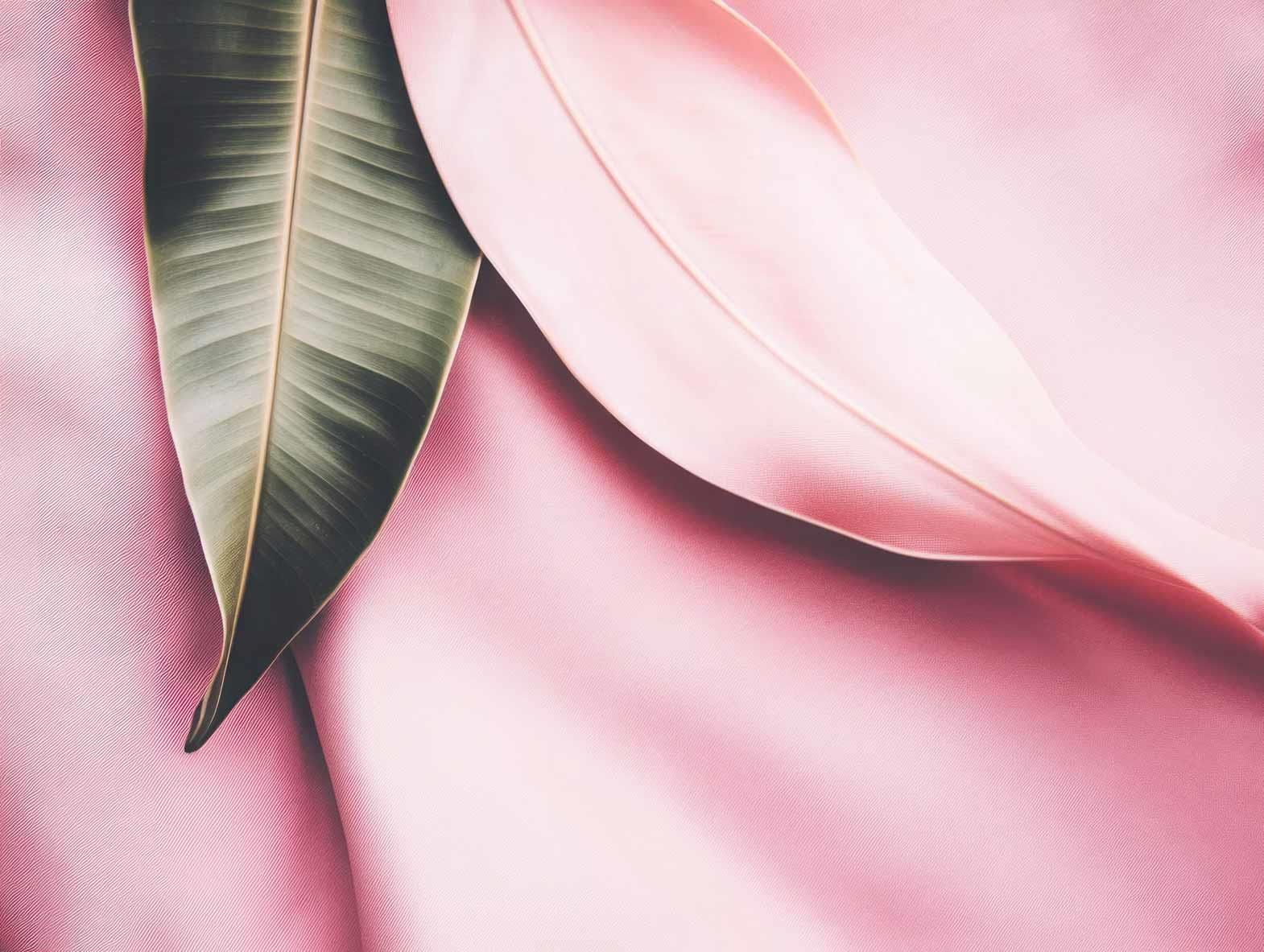 Banana Textile Fiber - Fibre2Fashion