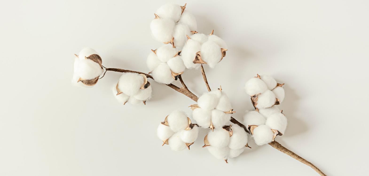 Global Cotton Statistics| Global Cotton Stocks | Fibre2fashion ...