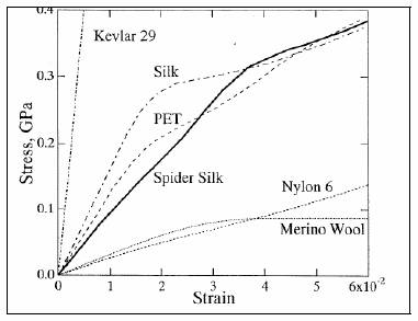 Spider Silk Fabrics : Commerciality and Transgenic Silkworm Fibres ...