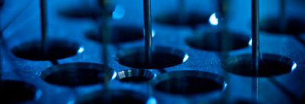 Revolution Biotechnology in Finishing Sector of Textile, Biotechnology ...