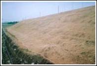 GeoJute and Jute Geotextile - Fibre2Fashion