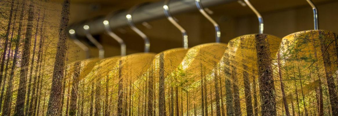 How Can One Achieve Sustainability By Embracing 9R’s Of Circularity ...