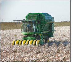 Bayer CropScience & PPI land deal for HDT in cotton - Fibre2Fashion