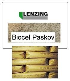 Lenzing buys remaining 25% of pulp producer Biocel Paskov - Fibre2Fashion