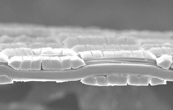 Pertex fabrics use yarn with diamond shaped filaments ...